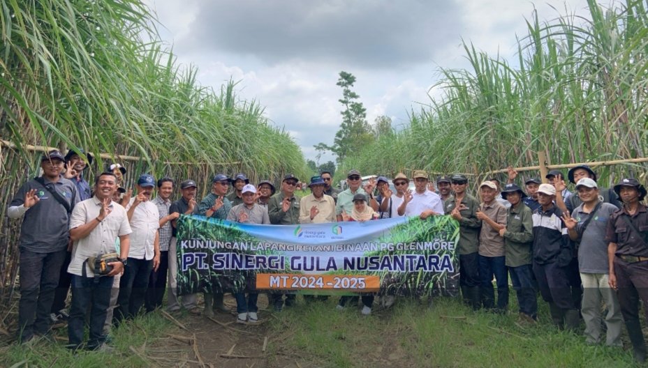 DARI LAKU DI KEBUN BAYU KIDUL: PG GLENMORE OPTIMISTIS PRODUKSI GULA ...
